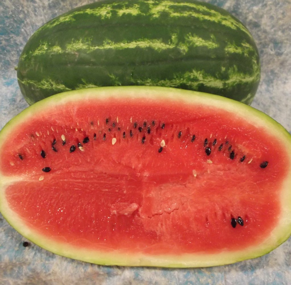 Watermelon – Cal Sweet – SPS Idaho Inc.