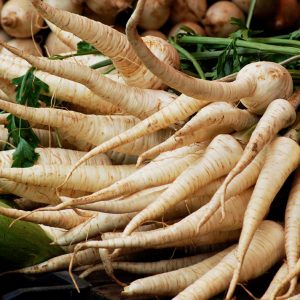 Parsnip – Harris Model – SPS Idaho Inc.