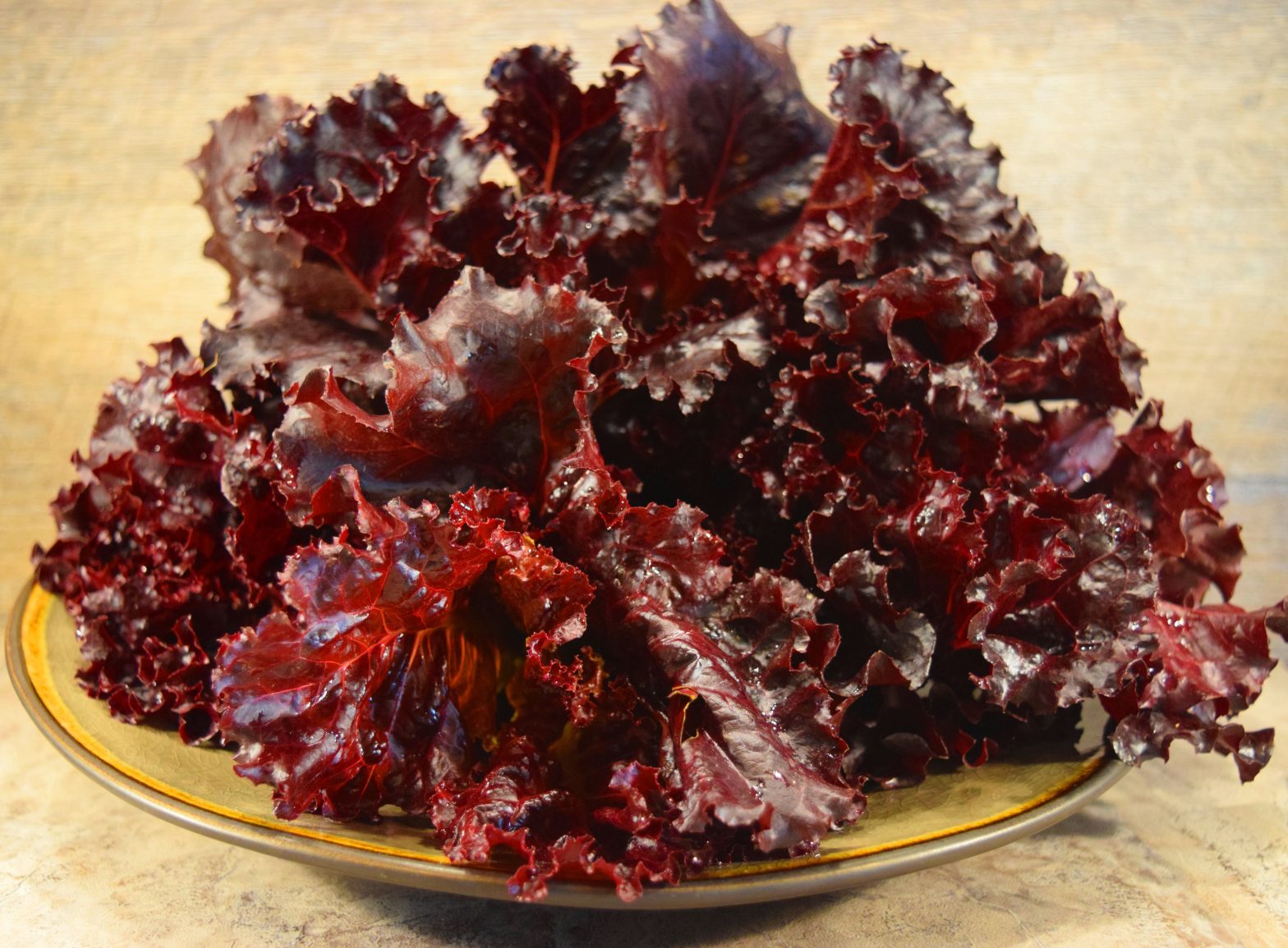 Lettuce – Beleah Rose – SPS Idaho Inc.