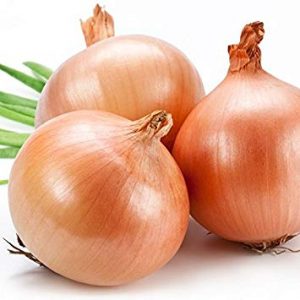 Onion – Texas Early Grano 502 – SPS Idaho Inc.