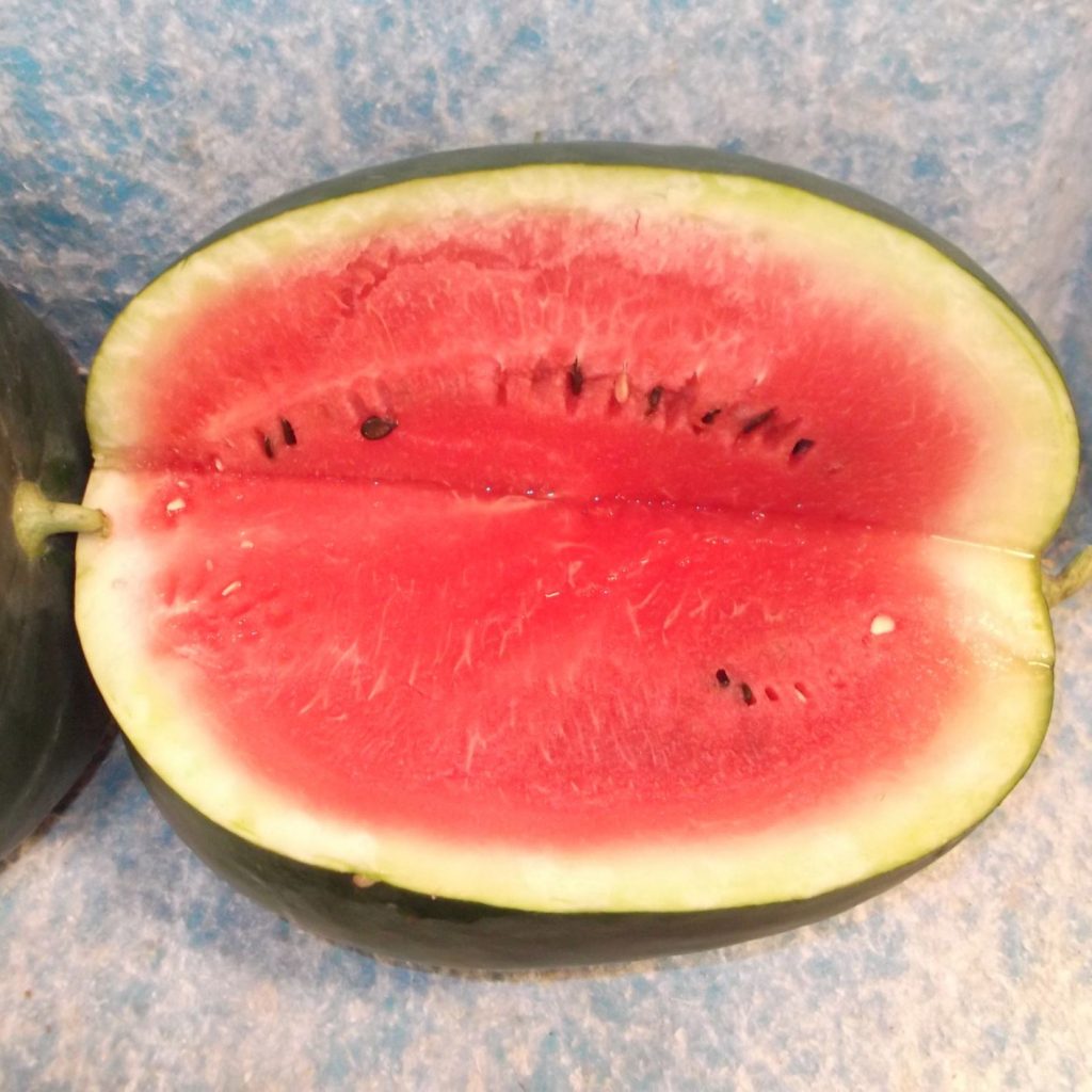 Watermelon – Black Diamond – SPS Idaho Inc.